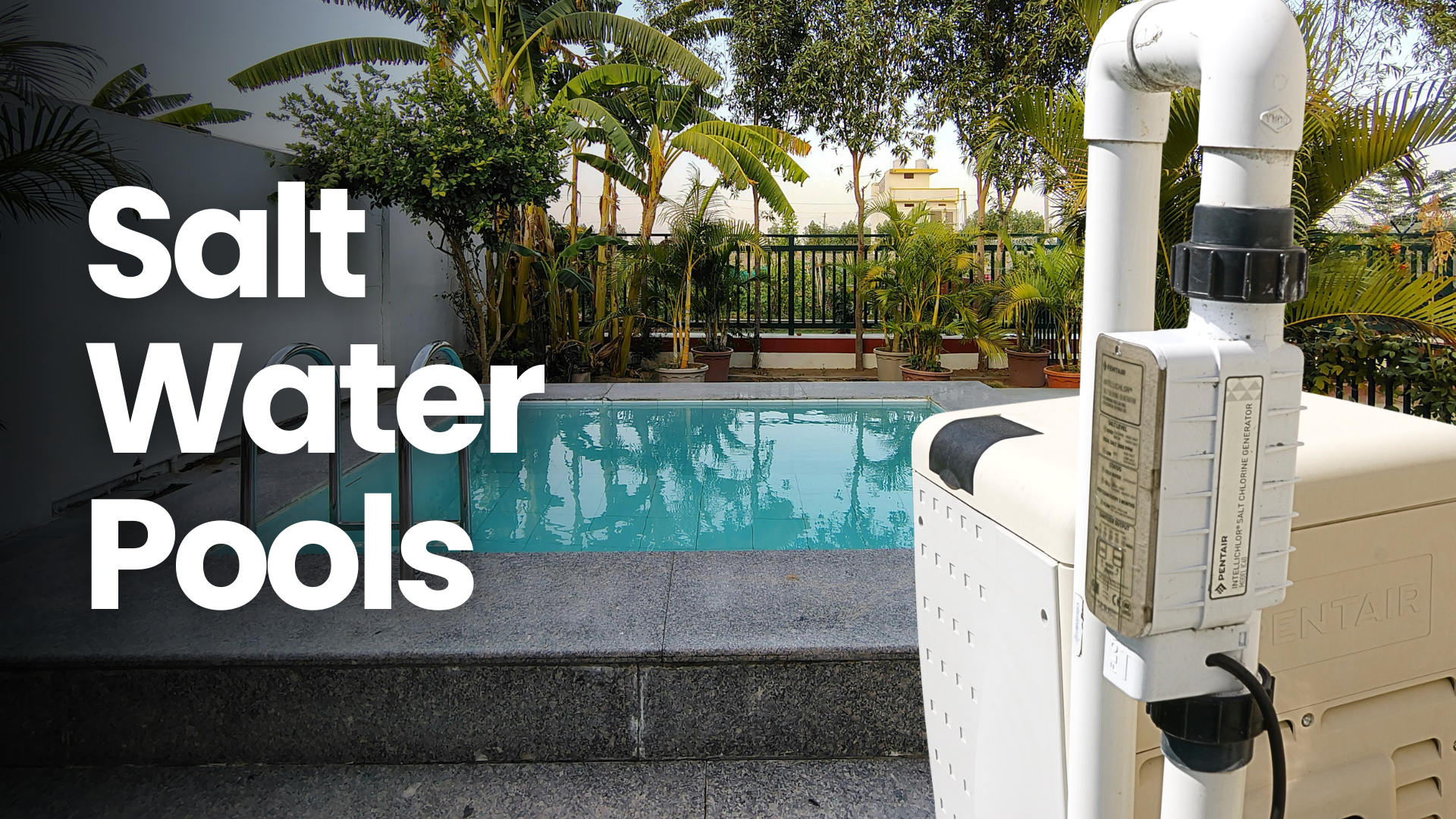How to Clean a Pool Salt Cell (The Right Way)