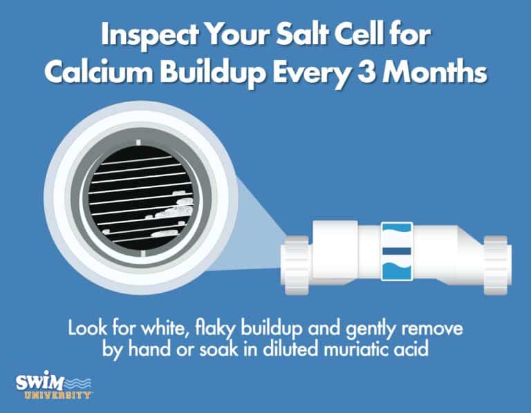 Salt Water Pool Maintenance 101: How to Keep it Clean and Clear