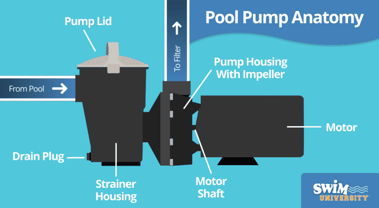 How Does a Pool Pump Work to Keep Your Pool Perfect?
